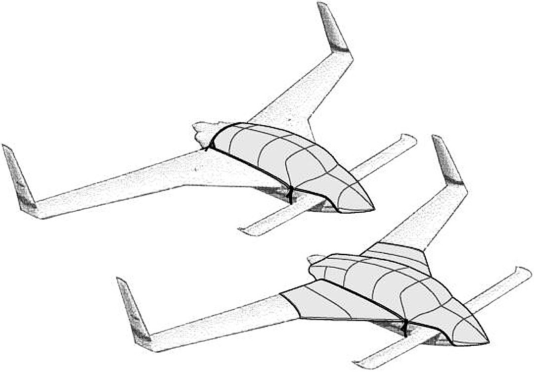 Rutan Long-EZ, Berkut & Defiant: Cubiertas, Tapones, etc.